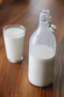 Coprisjal recomienda evitar consumo de leche y productos lácteos no ...